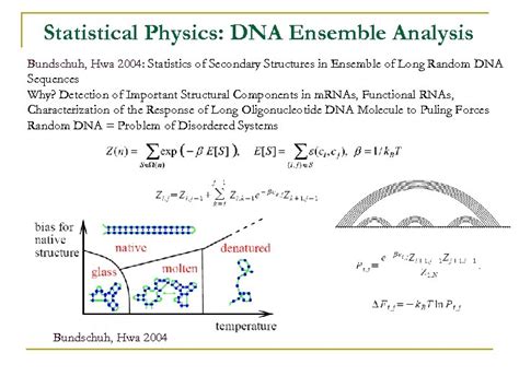 Coding For Dna Computing Combinatorial And Biophysical Aspects
