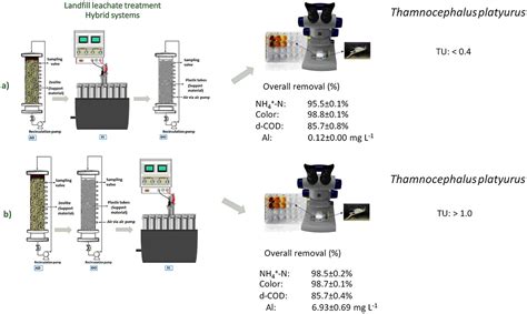 Treatment Of Raw Sanitary Landfill Leachate Using A Hybrid Pilot Scale