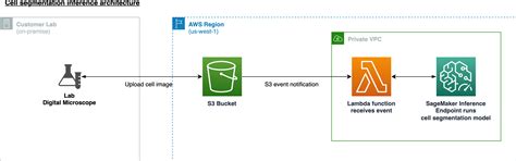 Github Aws Samplesamazon Sagemaker Cell Segmentation Workshop This