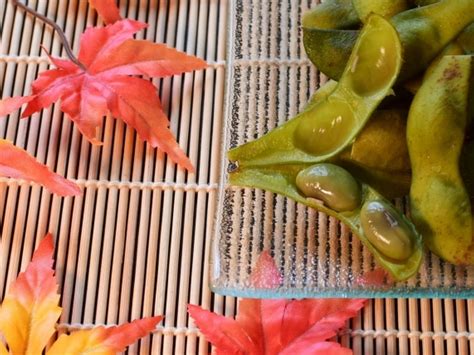 【有馬温泉の麓発】極旨 丹波黒枝豆500g🫛 お試し 土づくりにこだわる農薬節約栽培🌱 丹波黒大豆枝豆 丹波黒豆 丹波黒 枝豆 Edamame