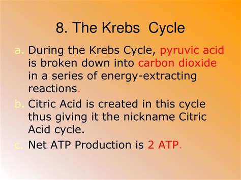 Ppt Cellular Respiration The Key To Energy Release Powerpoint