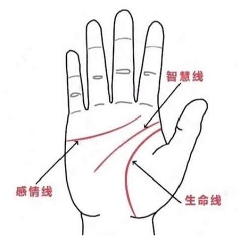 爱情线怎么看几段感情，容易二婚的感情线图解 桔子时尚网