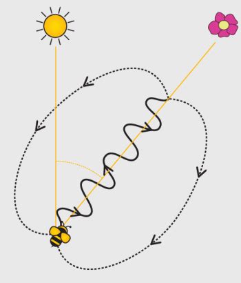 Imagicnation 04 How Do Bees Manufacture Honey — Steemit
