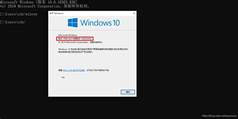 window10将wsl升级到wsl2 windows10 wsl 升级 wsl2 csdn博客