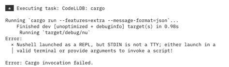 Launching In The VS Code LLDB Debugger Causes A Panic Issue 6788