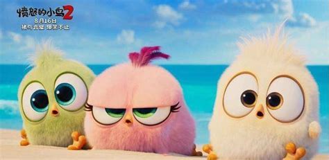 《愤怒的小鸟2》一部让人爆笑不止的动画电影，暑期结束欢乐依旧 萌次元