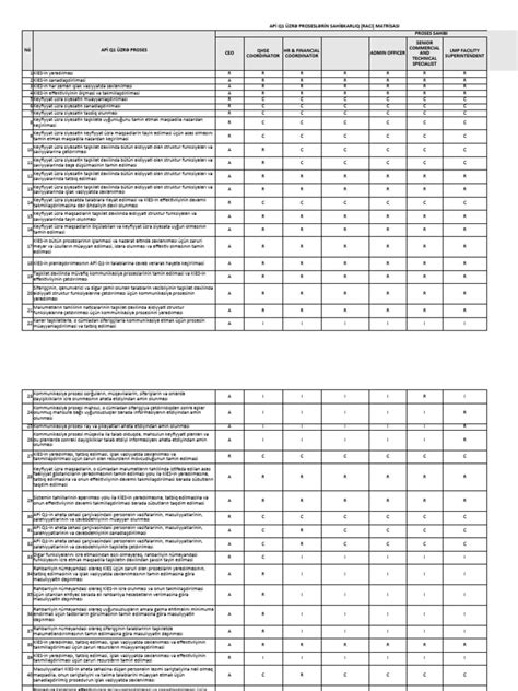 Process Ownership Matrix Pdf