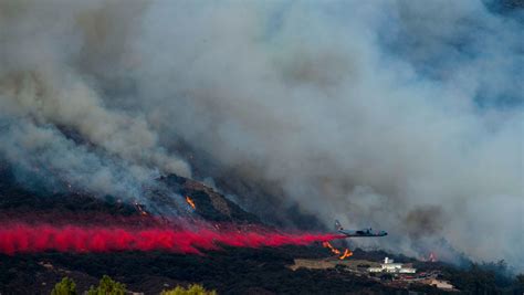 காட்டு Wildfire After Sex Party After Couple Accused Of Careless Murder