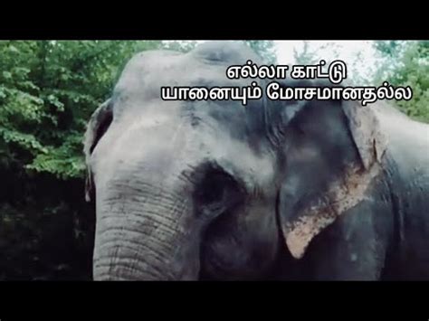 எலல கடட யனயம மசமனதலல YouTube