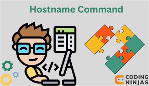 Hostname Command Naukri Code