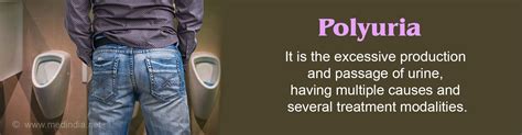 Polyuria Causes Symptoms Diagnosis Treatment And Prevention