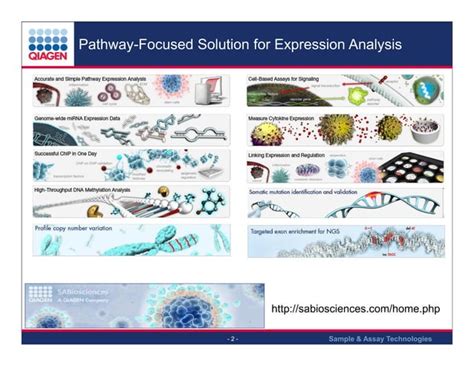 Pcr Array Data Analysis 2013 PPT