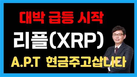 리플 대박급등은 지금 시작되었습니다 곧 아파트 현금주고 삽니다 리플 Xrp 리플심훈 심훈 Youtube