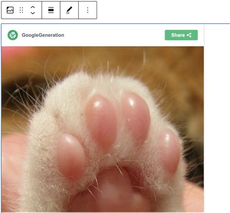 Imgur Embed Documentation