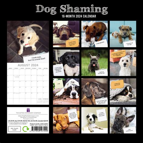 Dog Shaming 2024 Square Wall Calendar 16 Month By Ted Stationery 16