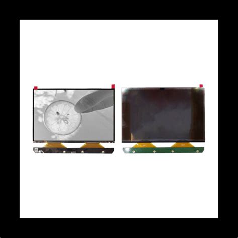 TM CFSP Monochrome LCD Inch K Mono LCD Screen With X Resolution LCD Screen MIPI