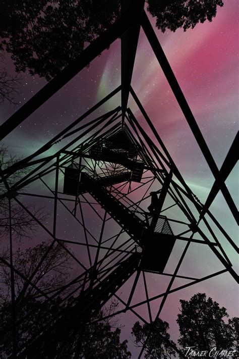 Tanner Charles Chasing