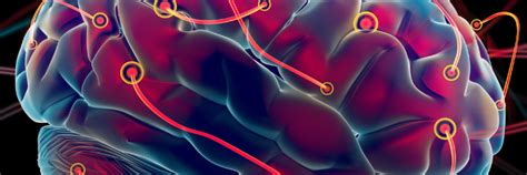 Brain Lymphatics Long Live You