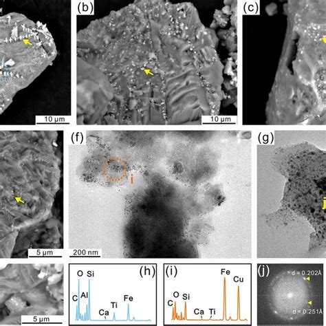 Scanning Electron Microscopy Sem And Transmission Electron Microscopy Download Scientific