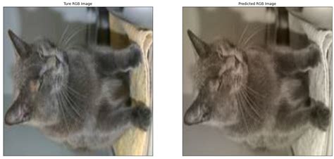 Messing Up With Convolutional Neural Nets Autoencoder For Grayscale To Rgb Image Quassarian Viper