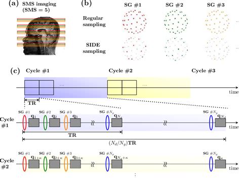 Figure 1 From Multifold Acceleration Of Diffusion Mri Via Slice Interleaved Diffusion Encoding
