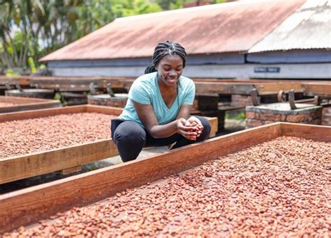 Cocoa Vs Cacao Whats The Difference Purewow