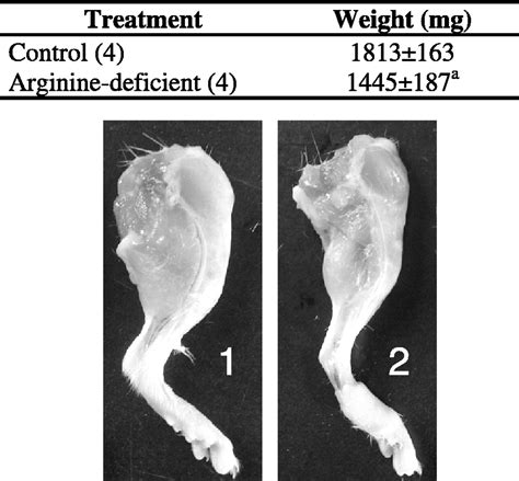 Influence Of Dietary Arginine On The Anabolic Effects Of Androgens In Journal Of Endocrinology