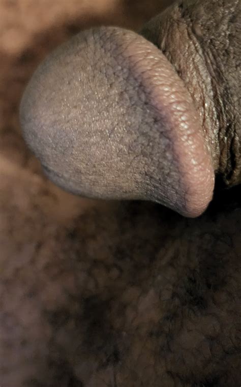 Doberman Webcam Show Faphouselive