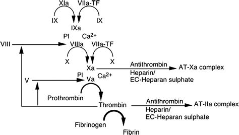 Antithrombin Deficiency In Pregnancy Bmj Case Reports