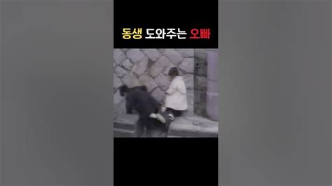 동생 도와주는 오빠 귀여운 감동 쇼츠 Youtube