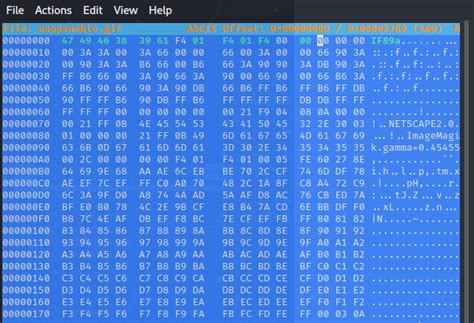 Ctf Learn — Corrupted File B3luga Medium