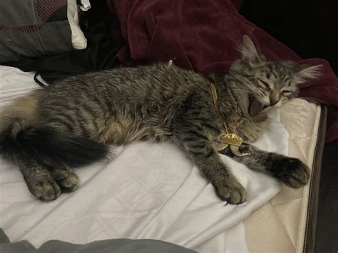 What To Put On My Conscientious Objector R Tf2