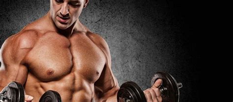Mighty Macros Promeals Blog