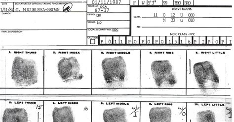 Criminal Background Check Ncic