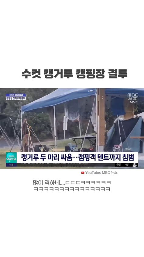 유머그램 힐링 이슈 유머 캥거루 짤 웃음 릴스 유머짤 웃자 퇴근 웃긴짤 좋아요 친구 레전드 개꿀잼