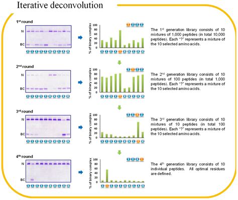 Molecules Free Full Text Mixture Based Combinatorial Libraries From Small Individual Peptide