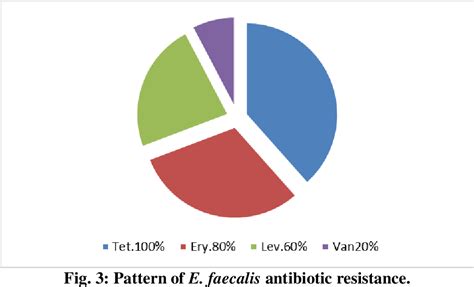 Figure 1 From Enterococcus Faecalis A Major Cause Of Std A New