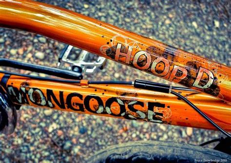 2009 Moongoose Hoop D