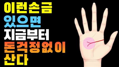 이런 손금있으면 지금부터 무조건 말년복 터진다 최고의 손금 말년운 좋은 손금 이런손금 운수대통한다 손금으로 보는 나의 운명 부자되는 손금 자식복 있는 손금 돈복있는 손금