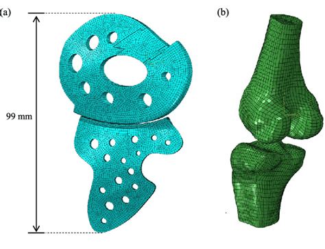 mesh employed in a the eaka c3d8r 8 node linear and b bone s4r