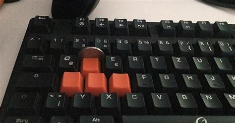 Dayz Player Will Understand Imgur