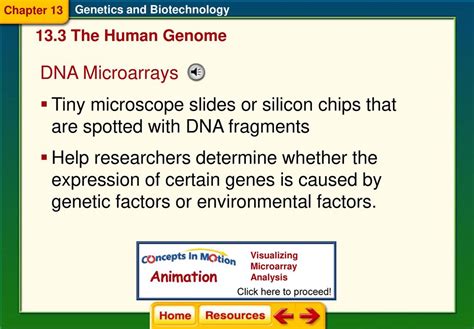Chapter Genetics And Biotechnology Ppt Download