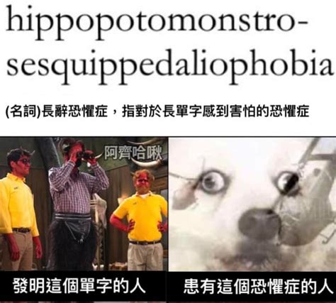 發明者故意的吧 梗圖板 Dcard