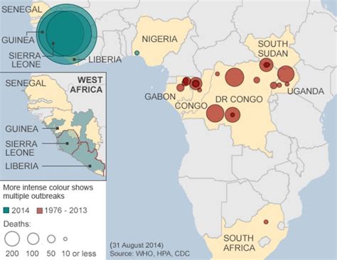 Why Ebola Is So Dangerous Bbc News
