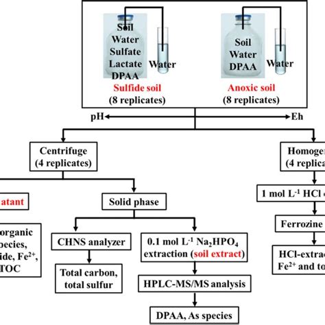Extracted Ion Chromatograms Eic Hplc Ms Ms Analysis Of A Extract And