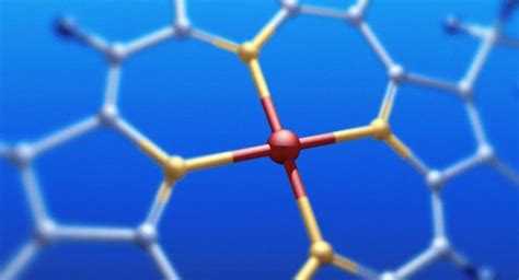 ¿qué Son Los Tejidos Mesodermo Ectodermo Y Endodermo