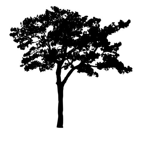 Free Treeline Silhouette Png Download Free Treeline Silhouette Png Png Images Free ClipArts On