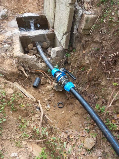 Општина Зрновци