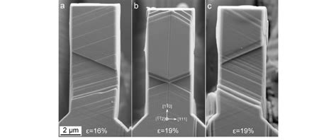 Sem Micrographs Of Micropillars After Compression The Ctb Is Nearly