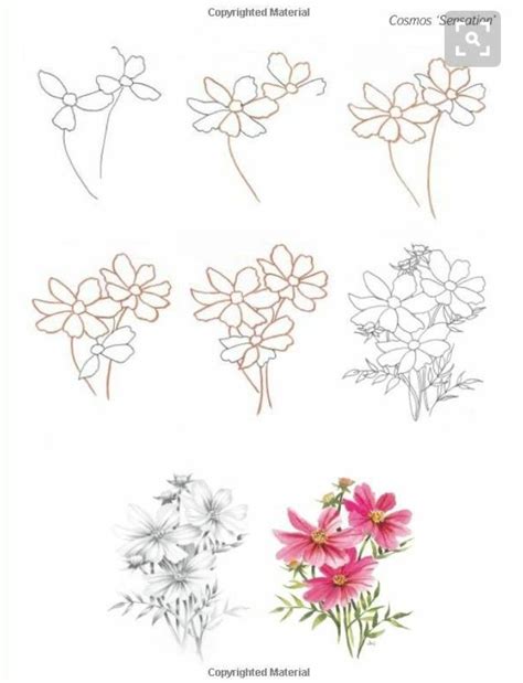 Pin By Annye Fernández Ávila On Para Dibujar Flower Drawing Flower